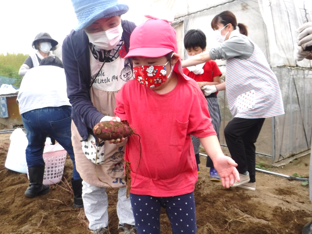 11月 | 2021 | NPO法人walea