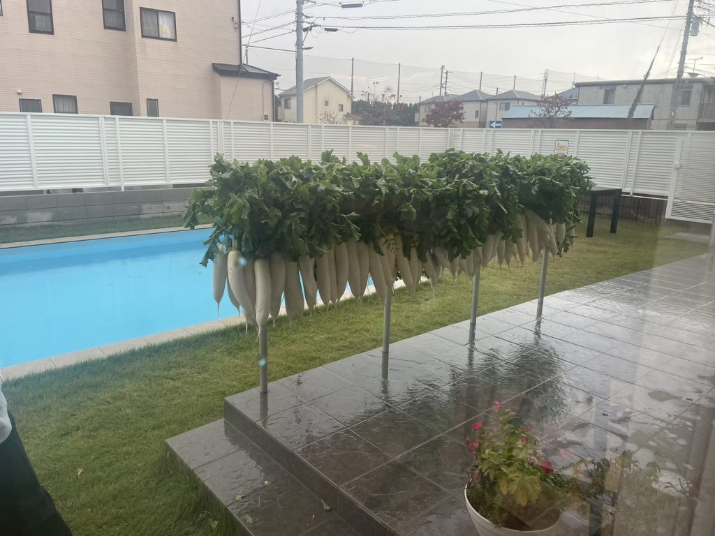 pace | NPO法人walea